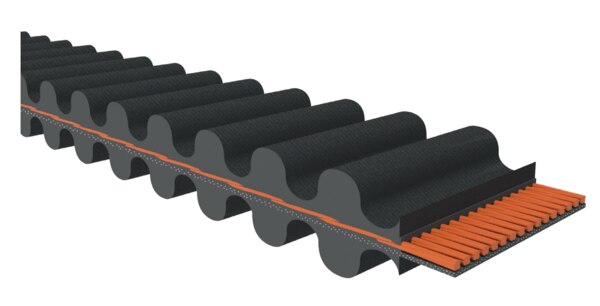 D2250-5M-25 | D&D Global